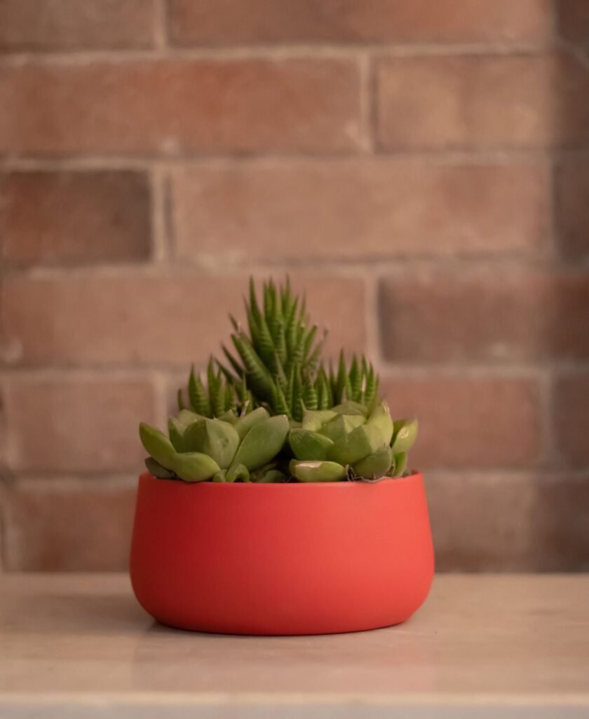 Red Metal Planter | Best Red Metal Planter | Buy Red Metal Planter Online